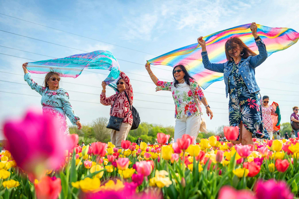 Phase 2 tickets on sale Friday 30th January!