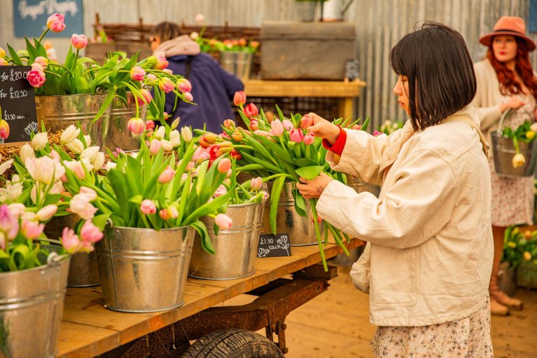 Tulip Care Tips
